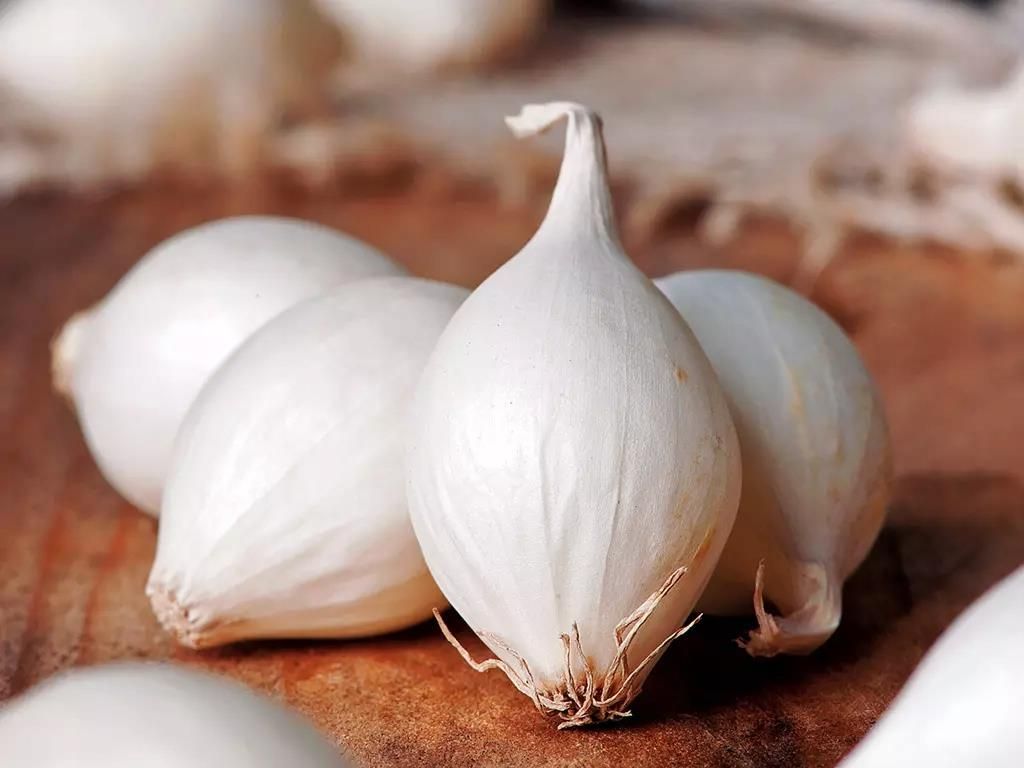 Cebula Dymka Biała Snowball 250g - Ceny i opinie - Ceneo.pl