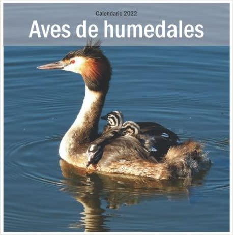 Aves de Humedales - Calendario 2022 - Literatura obcojęzyczna - Ceny i opinie - Ceneo.pl