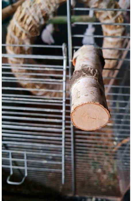 Znudzony Dziubek Żerdź Brzozowa 10cm - Ceny i opinie - Ceneo.pl