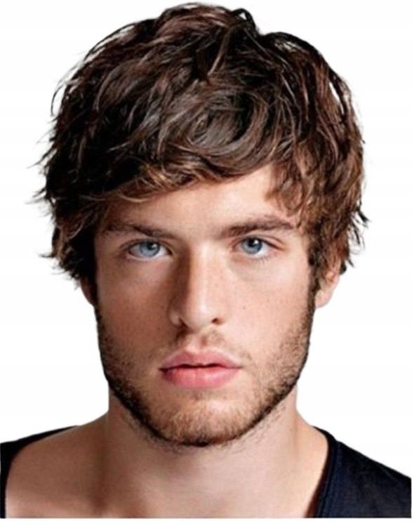 Peruki Męskie Naturalna Kręcone Peruka Meska - Ceny i opinie - Ceneo.pl