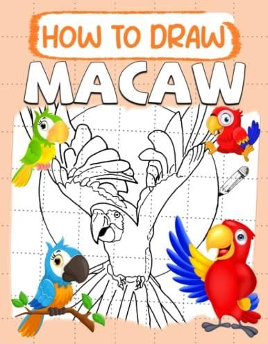 How To Draw Macaw: Step By Step And Simple Animals To Learn To Draw ...