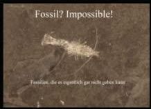 Fossil? Impossible!: Fossilien, die es eigentlich gar nicht geben kann ...