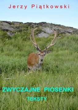 Zwyczajne piosenki - teksty - Jerzy Piątkowski (E-book) - Ceny i opinie ...