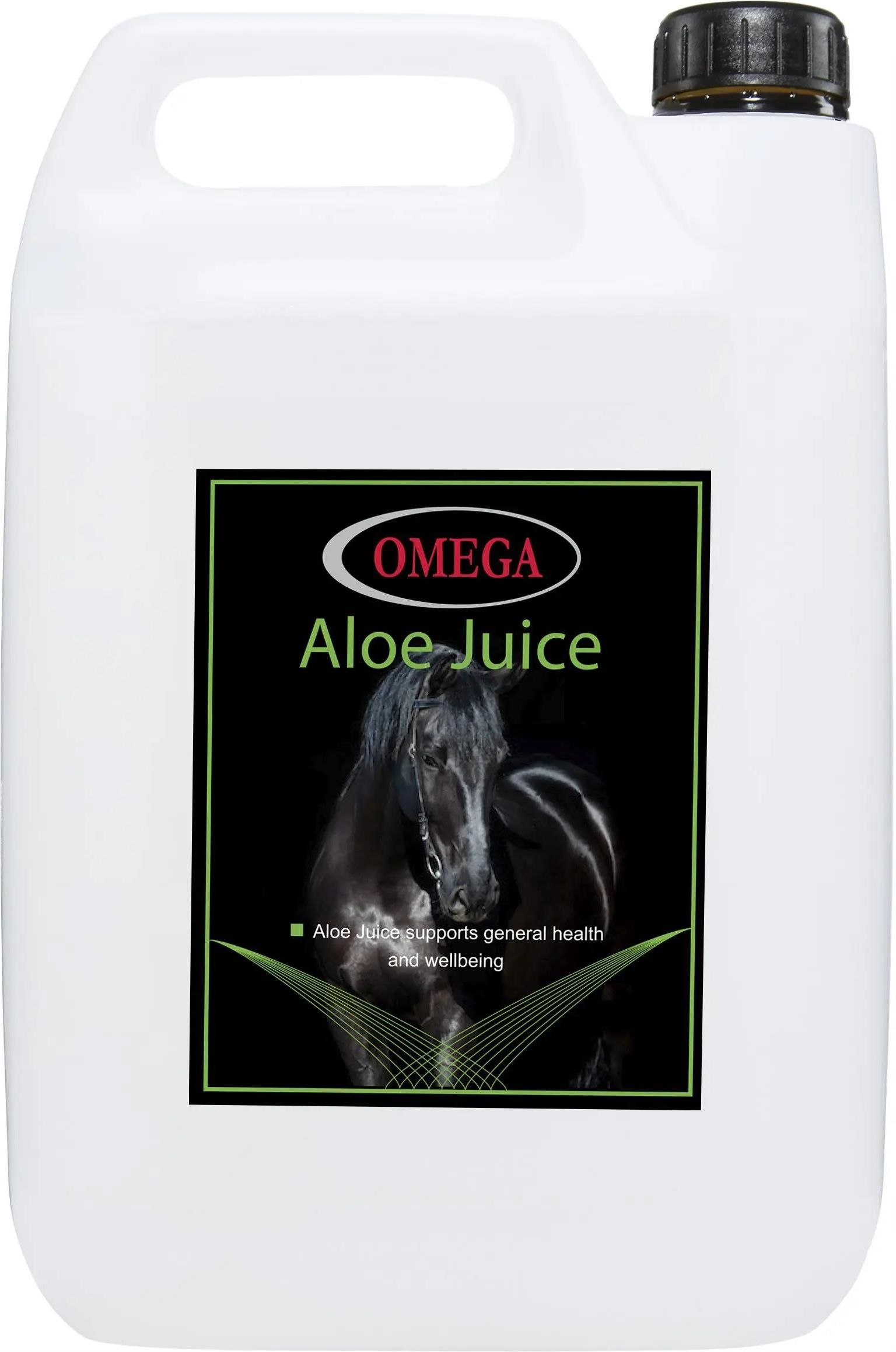 Omega Aloe Juice Sok Z Aloesu Dla Koni 5L - Ceny i opinie - Ceneo.pl