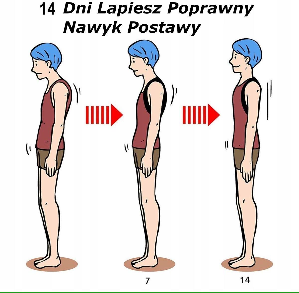 Korektor Wad Postawy Dla Dzieci Nakladki M - Opinie i ceny na Ceneo.pl