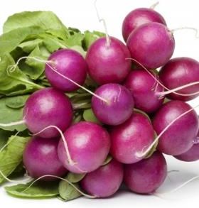 Rzodkiew fioletowa Malaga 5g - Ceny i opinie - Ceneo.pl