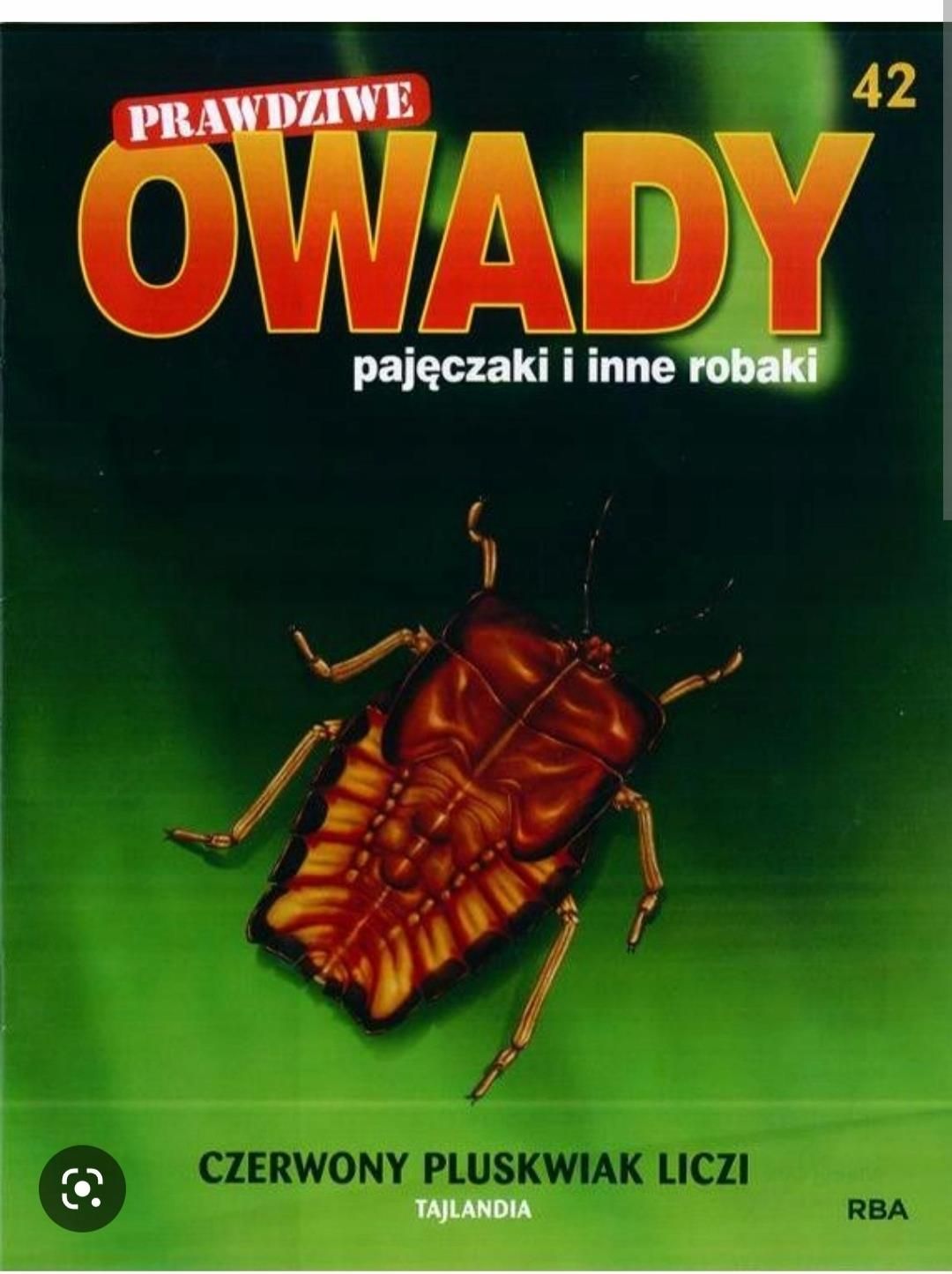 Prawdziwe Owady 42 Czerwony pluskwiak Liczi+ okaz - Ceny i opinie ...