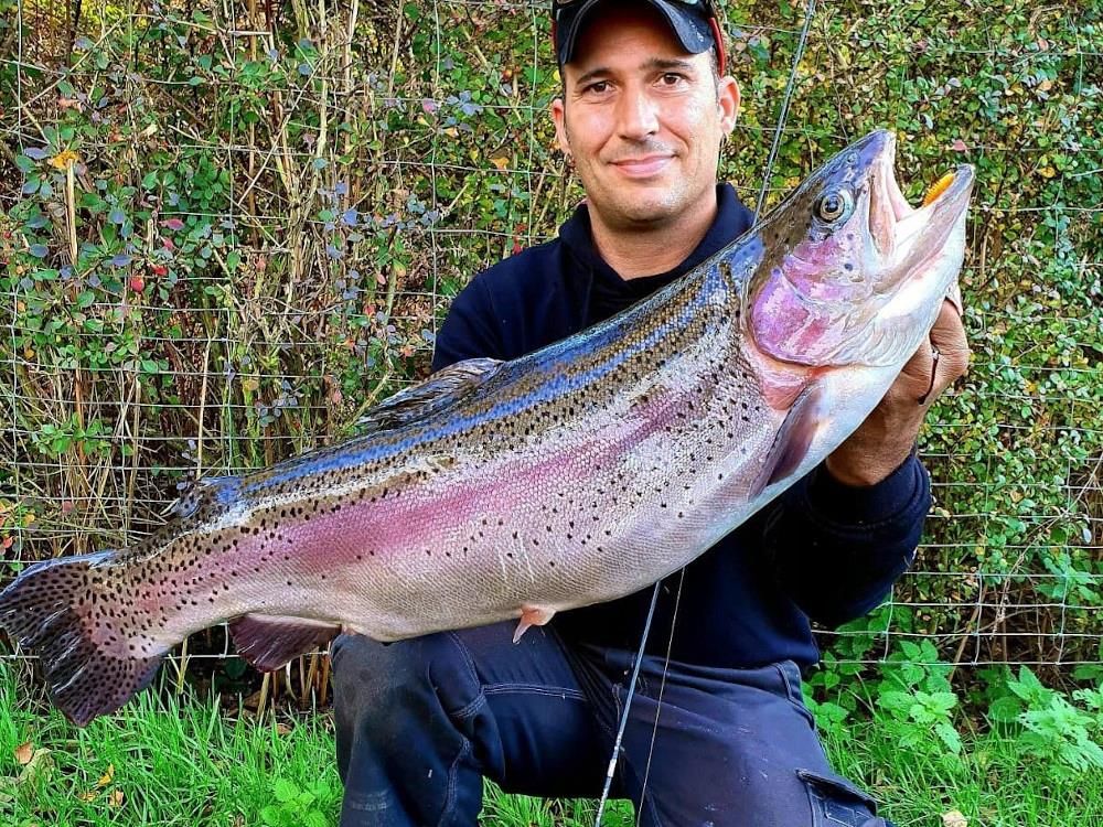 Fishup Pupa 1,5' 38mm Ser Cheese Orange #135 8szt. - Ceny i opinie ...