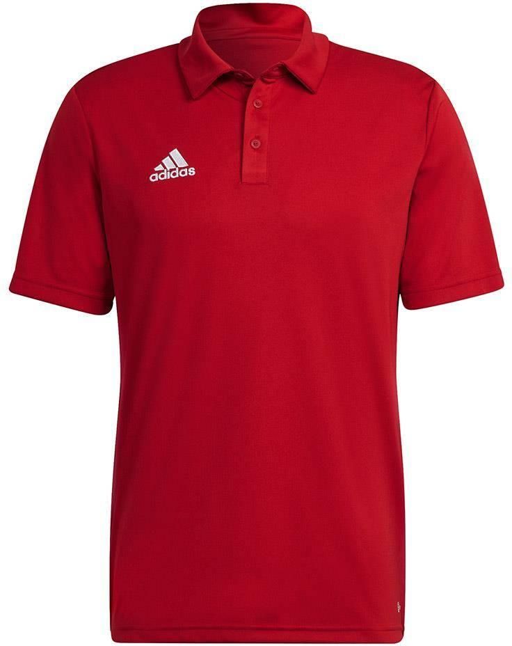 Koszulka męska adidas Entrada 22 Polo czerwona H57489 - Ceny i opinie ...