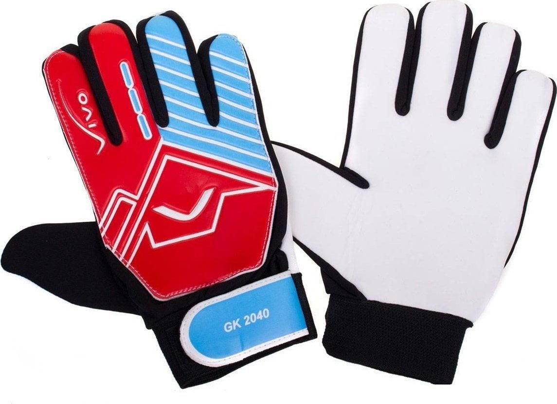 Vivo Gk 2040 Light Blue White - Ceny i opinie - Ceneo.pl