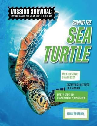 Saving the Sea Turtle: Meet Scientists on a Mission, Discover Kid ...