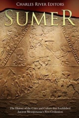 Sumer: The History of the Cities and Culture that Established Ancient ...