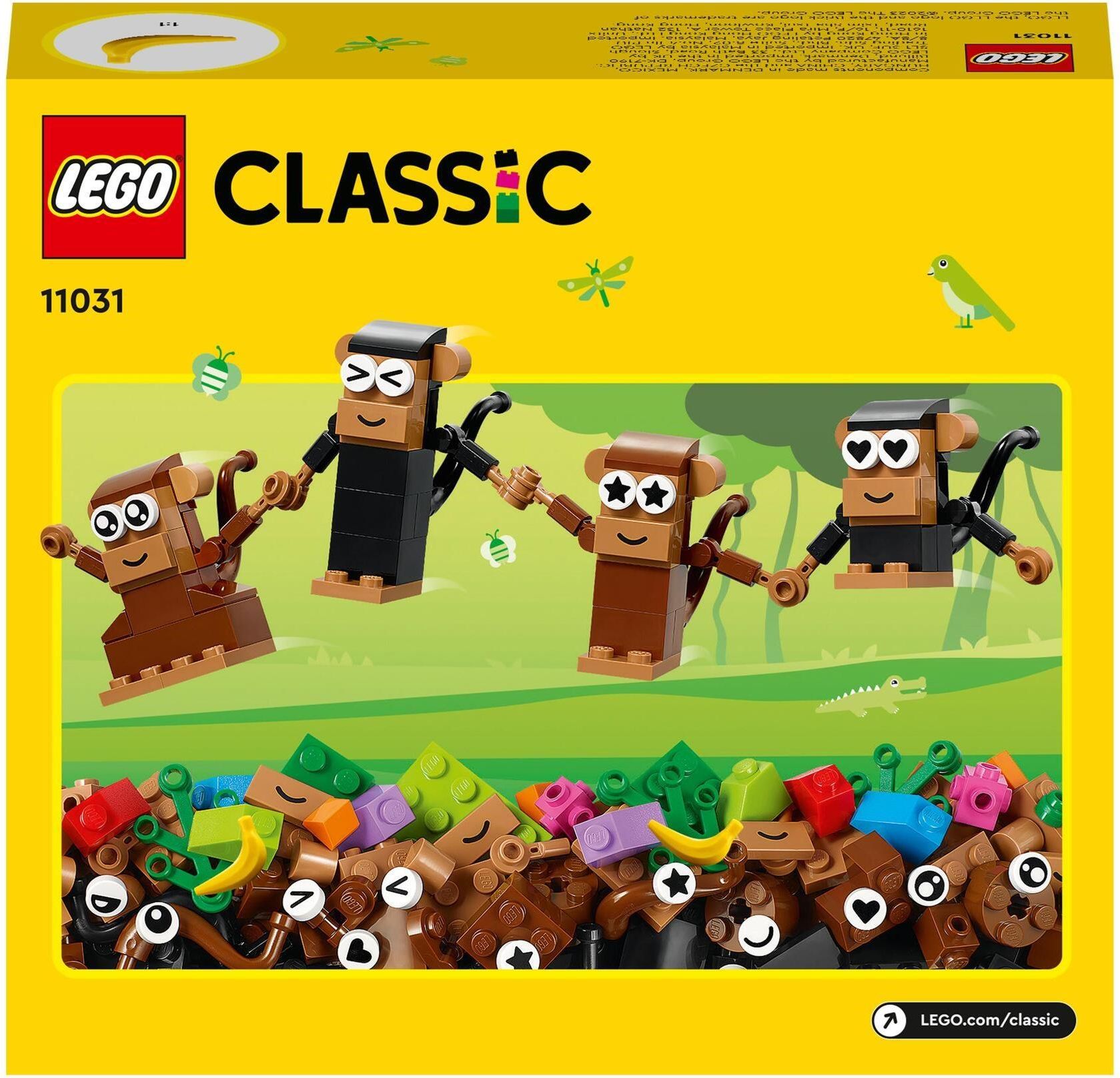 LEGO Classic 11031 Kreatywna małpia zabawa - Ceny i opinie - Ceneo.pl