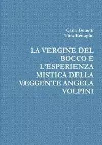 LA VERGINE DEL BOCCO E L'ESPERIENZA MISTICA DELLA VEGGENTE ANGELA ...