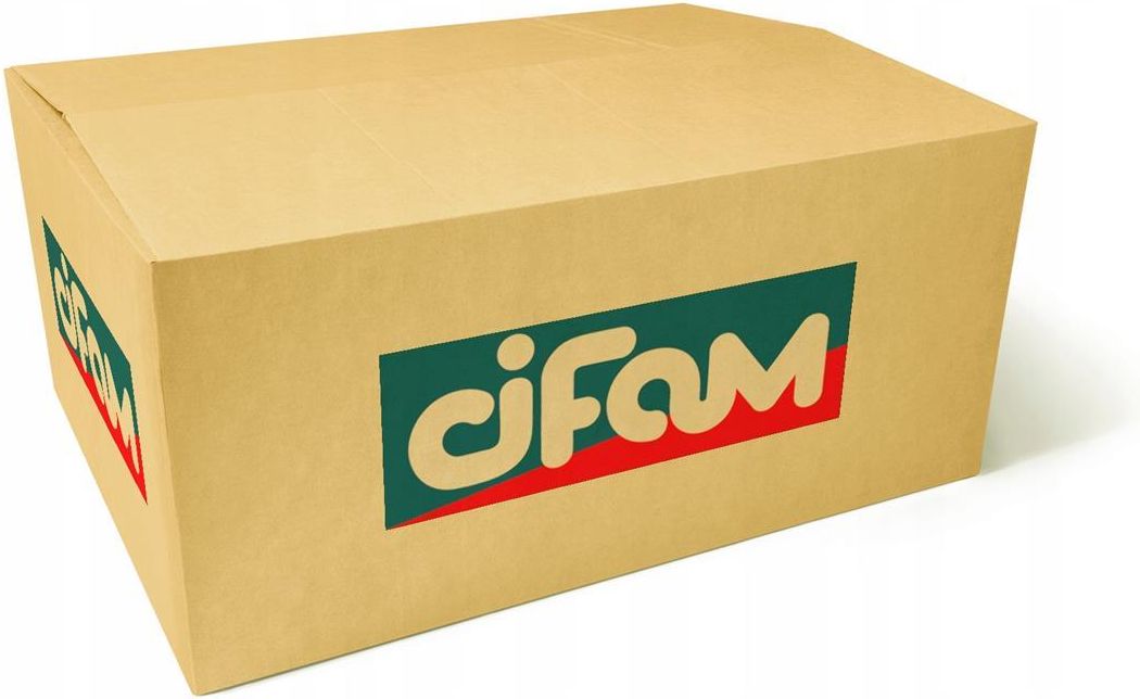 Cifam Pompa Sprzęgła 505275 - Opinie i ceny na Ceneo.pl