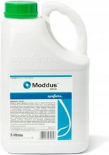 Moddus 5L - Ceny i opinie - Ceneo.pl