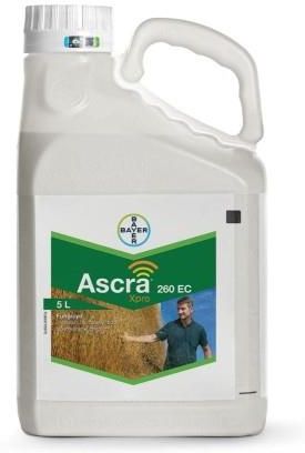 Ascra Xpro 260 Ec 5L - Ceny i opinie - Ceneo.pl