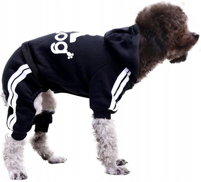 Adidog Bluza Psa Ubranko Dres Ubranie Kombinezon Xssmlxlxxl - Ceny i ...