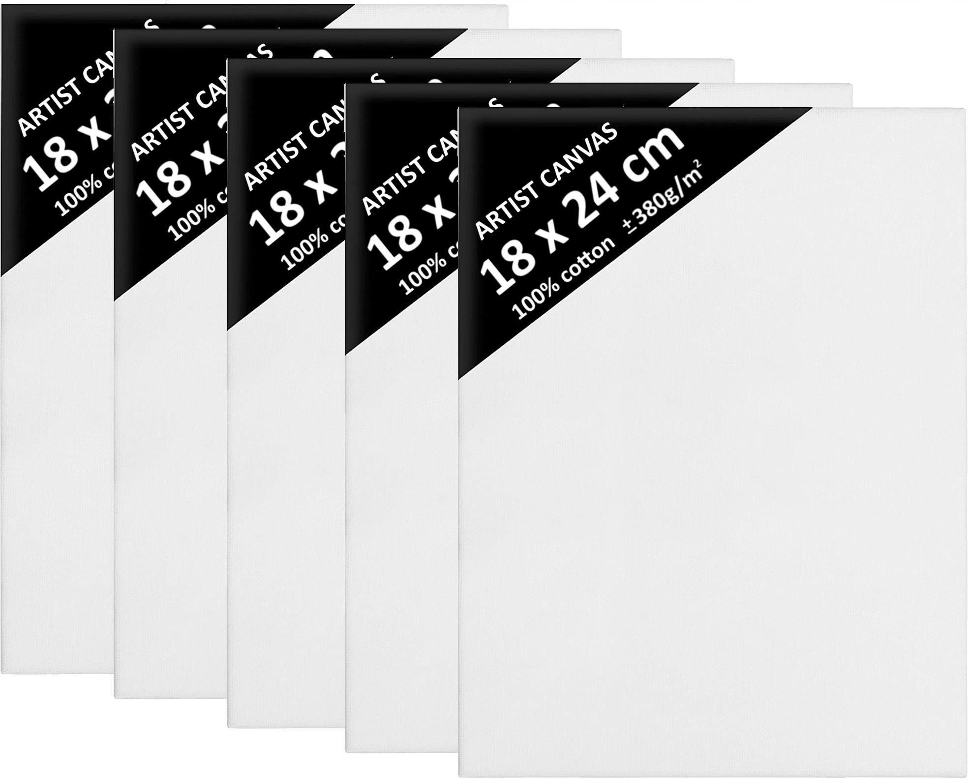 Podobrazie 18/24 Davinci 18X24 Podobrazia 5szt. - Ceny i opinie - Ceneo.pl