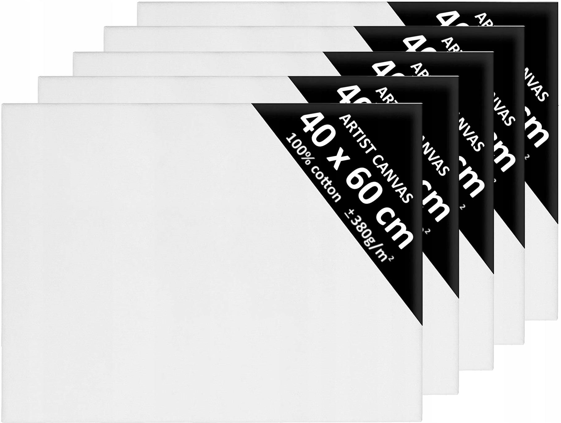 5X Blejtram Podobrazie 40X60 Podobrazia Davinci - Ceny i opinie - Ceneo.pl