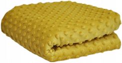 Kamtex Minky 380G Polar Tłoczone Kropki Tkanina 1M 1533605187 - Ceny i ...