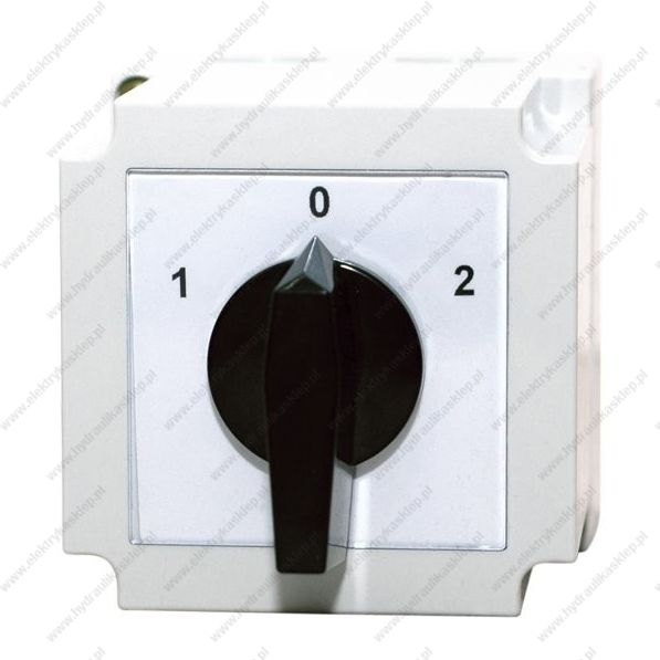 Apator 4G25-53-Pk Łącznik Krzywkowy 25A W Obudowie 63-840345-031 ...