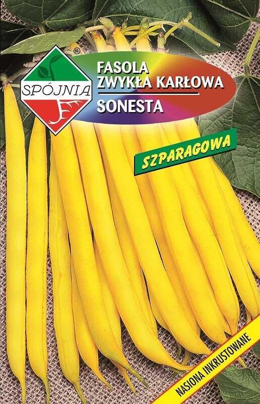 Fasola Sonesta 500g - Ceny i opinie - Ceneo.pl
