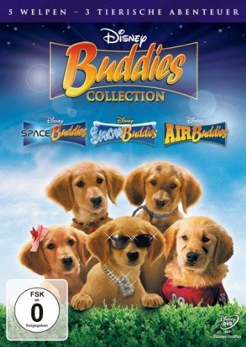 Film DVD Buddies Collection (DVD) - Ceny i opinie - Ceneo.pl