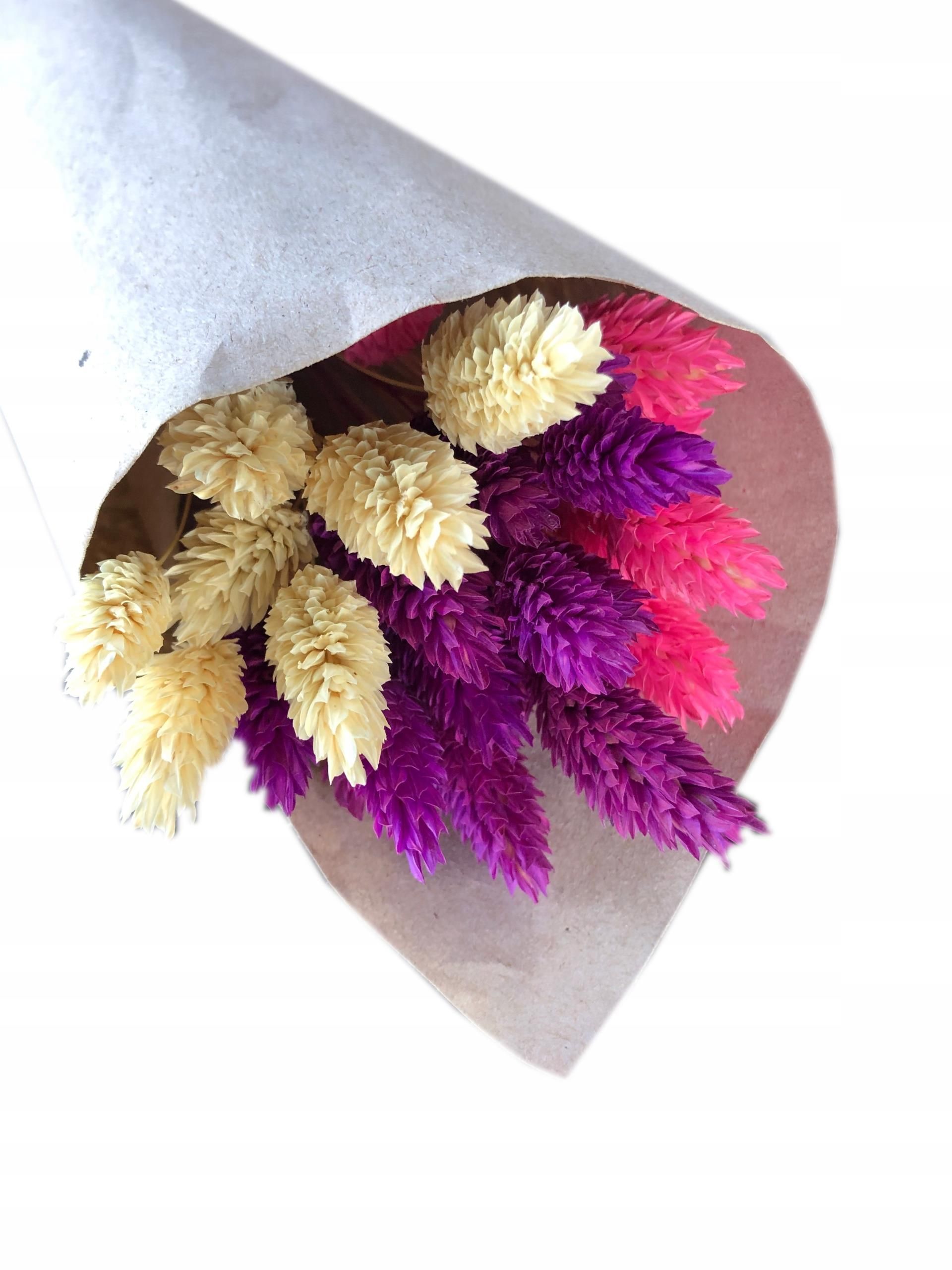 Suszony Kanar Mozga Kanaryjska Bukiet Mieszany - Ceny i opinie - Ceneo.pl