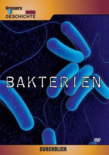Film DVD Bakterien (DVD) - Ceny i opinie - Ceneo.pl
