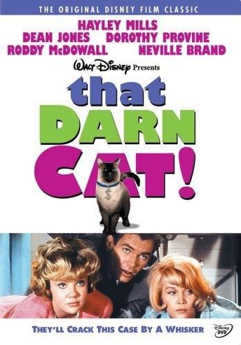 Film DVD That Darn Cat! (DVD) - Ceny i opinie - Ceneo.pl