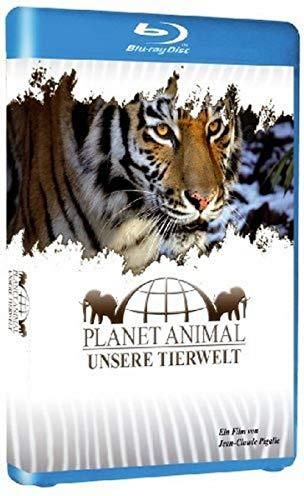 Film Blu-ray Planet Animal - Unsere Tierwelt: (Blu-ray) - Ceny i opinie ...