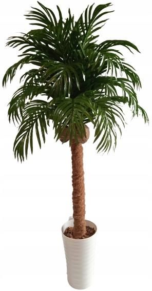 Sztuczna Palma Cykas Drzewko Sztuczne Kwiat 110 - Ceny i opinie - Ceneo.pl