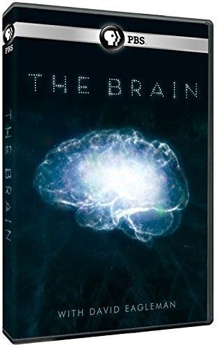 Film DVD The Brain With David Eagleman (DVD) - Ceny i opinie - Ceneo.pl