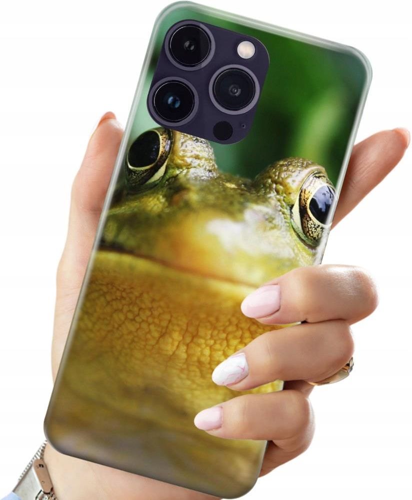 Etui do Iphone 14 Żabka Żaba Frog Obudowa - Etui na telefon, ceny i ...
