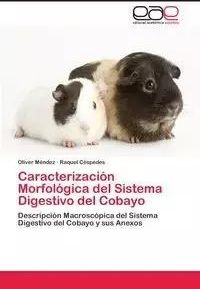 Caracterización Morfológica del Sistema Digestivo del Cobayo - Oliver ...