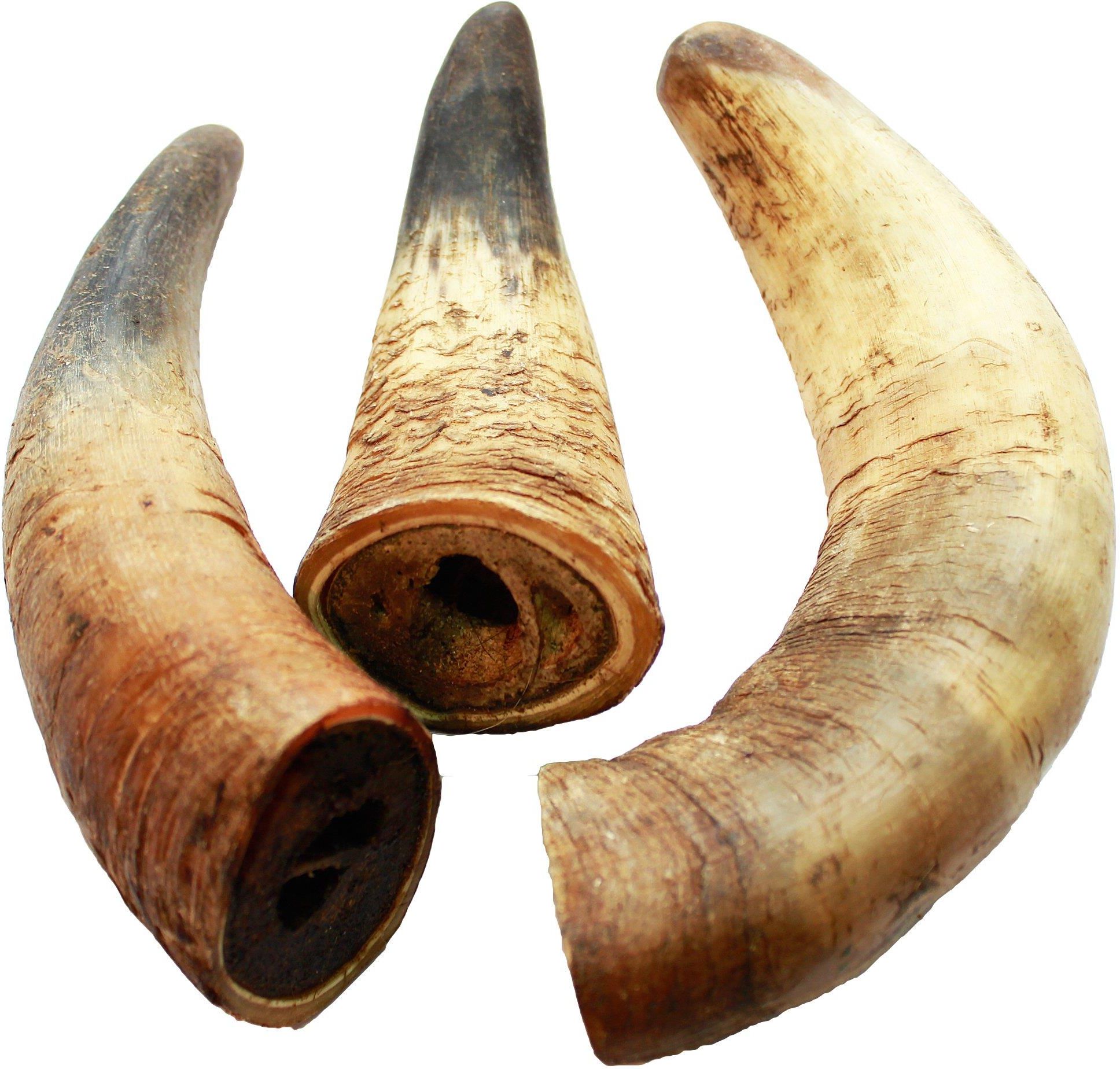 Karma Lordzeton Rogi Wołowe Ok. 2-4Szt. Gryzak Dla Psa 1Kg - Ceny i ...