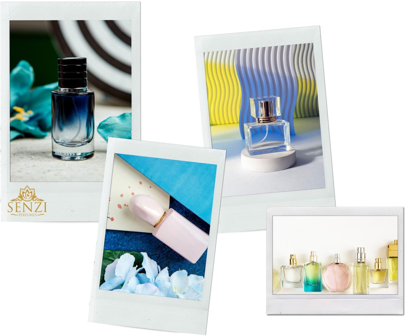 Senzi Elysium Pour Homme Rojas P258 Perfumy 30 ml - Opinie i ceny na ...