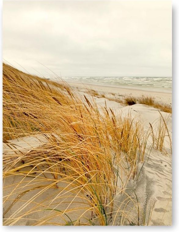 Morze wydmy plakat obraz B2 50x70cm #168 - Opinie i atrakcyjne ceny na Ceneo.pl