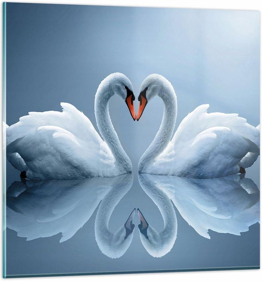 Obraz na szkle 30x30 łabędzie serce - Opinie i atrakcyjne ceny na Ceneo.pl