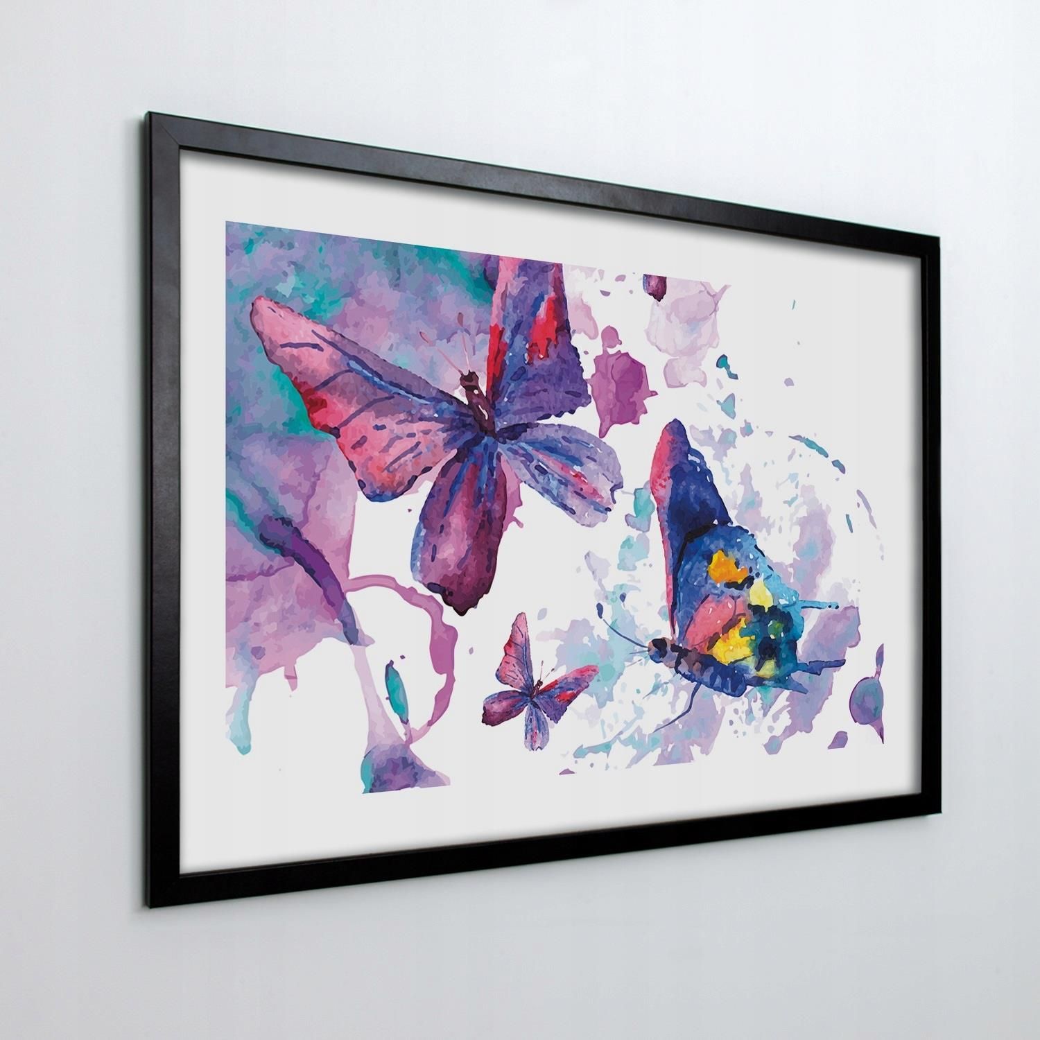 Ścienny obraz w ramie Motyle owady grafika 70x50 - Opinie i atrakcyjne ...