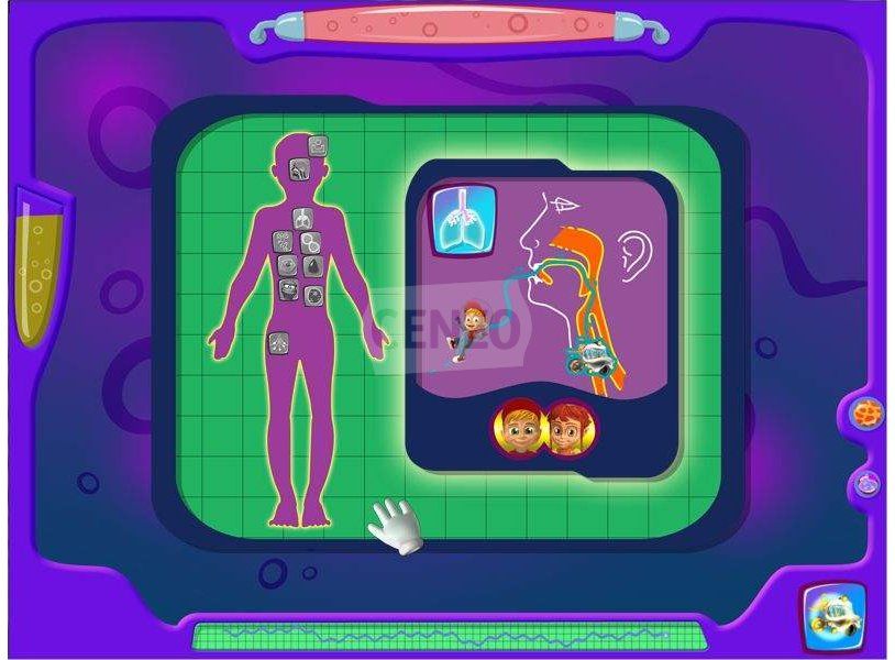 Program edukacyjny ADIBU POzNAJE TAJEMNICE LUDzKIEGO CIAłA (Gra PC ...