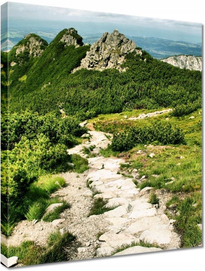 Obraz 40x50 Góry Tatry - Opinie i atrakcyjne ceny na Ceneo.pl