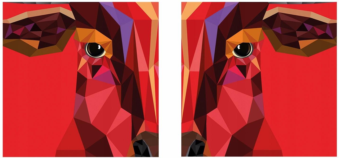 Obraz w ramie na ścianę Byk rogi grafika 20x30 cm - Opinie i atrakcyjne ...