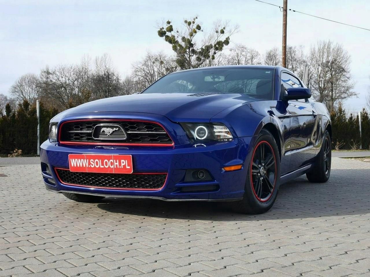 Ford Mustang mk5 V 3.7 V6 309KM -Zobacz - Opinie i ceny na Ceneo.pl