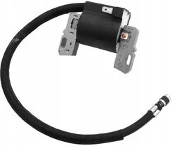 Cewka Zapłonowa Briggs 9-18 Km 492341 490586 - Ceny i opinie - Ceneo.pl