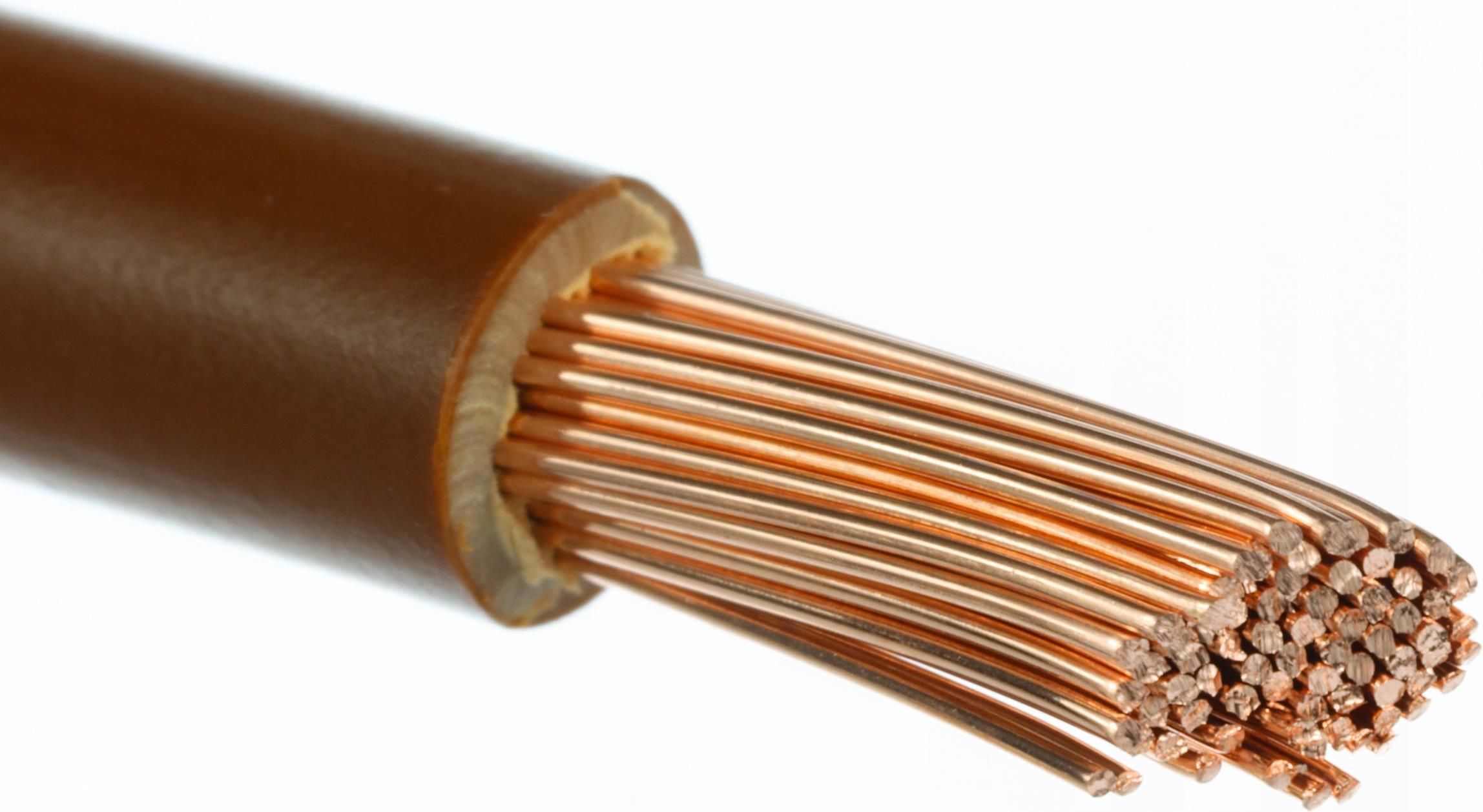 Digma Kabel Jednożyłowy Lgy 16 Mm2 Giętki Brązowy Lgy1X16 - Opinie i ...