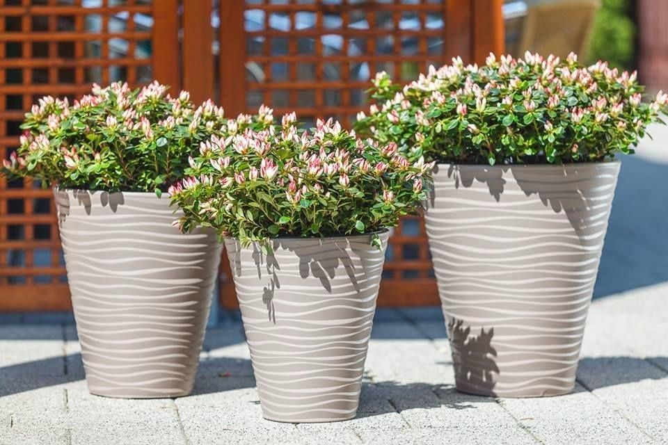 Donica Sahara Szaro-Beżowy Dsh30 Formplastic - Ceny i opinie - Ceneo.pl