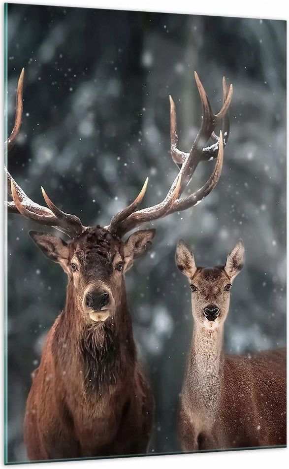 Obraz na szkle 70x100 jeleń renifer sarna - Opinie i atrakcyjne ceny na ...