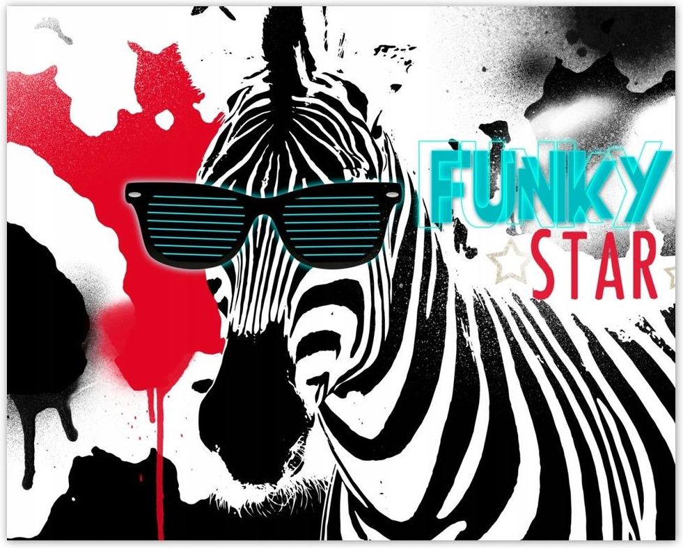 Plakaty 50x40 Zebra Funky Star - Opinie i atrakcyjne ceny na Ceneo.pl